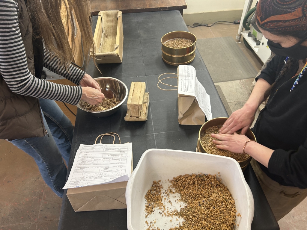 Rare Plant Seed Cleaning Volunteer Event - Institute for Applied Ecology