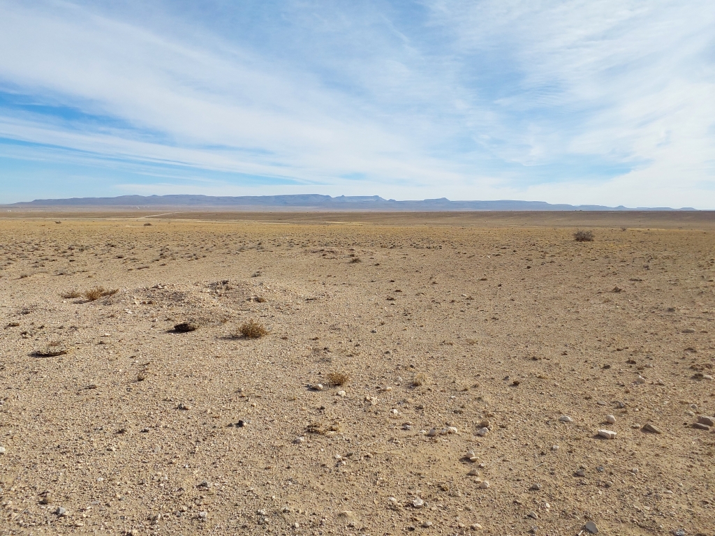 Making a lasting impression: restoring grassland bird habitat in the ...