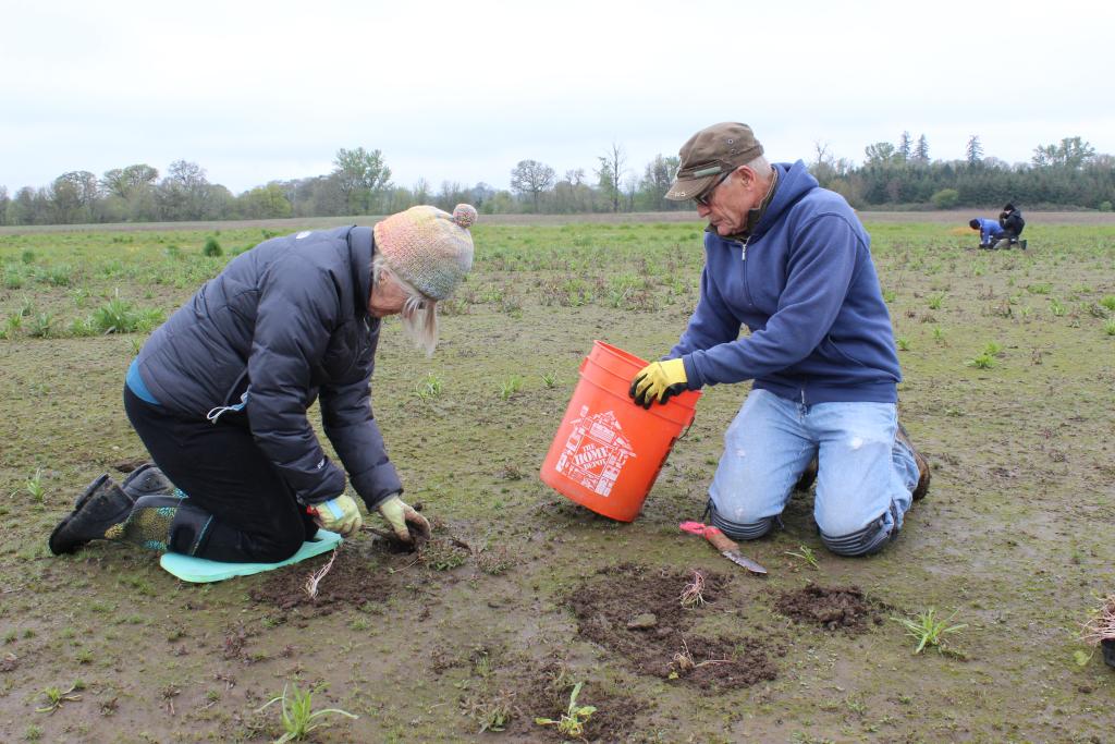 Celebrating Earth Day at Herbert Farm and Natural Area - Institute for ...