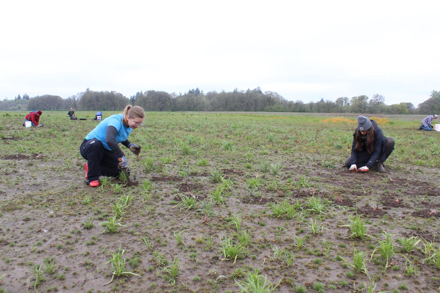 Celebrating Earth Day at Herbert Farm and Natural Area - Institute for ...