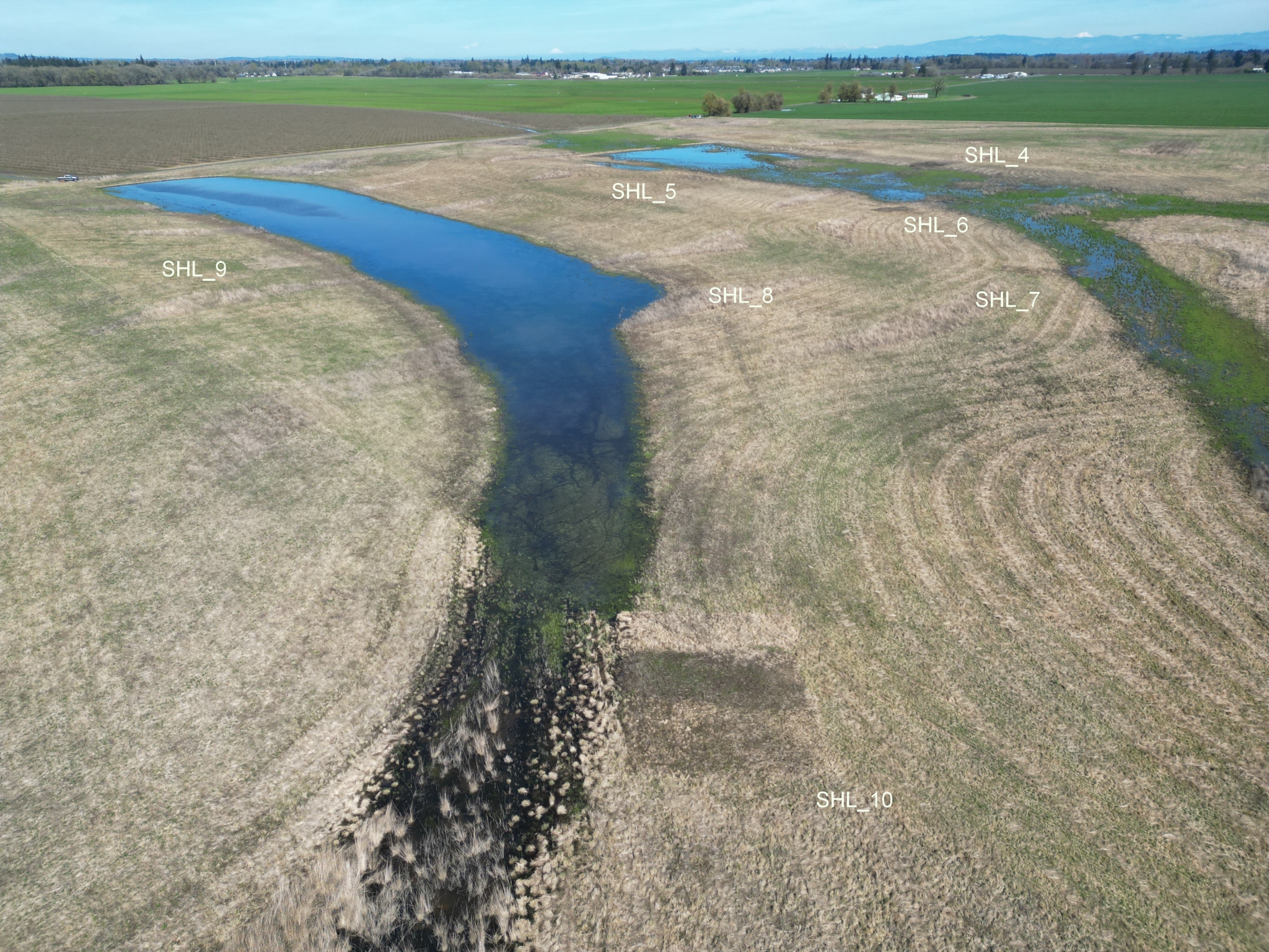 On the Edge of the Prairie: Creating Safe Nesting Habitat for the ...