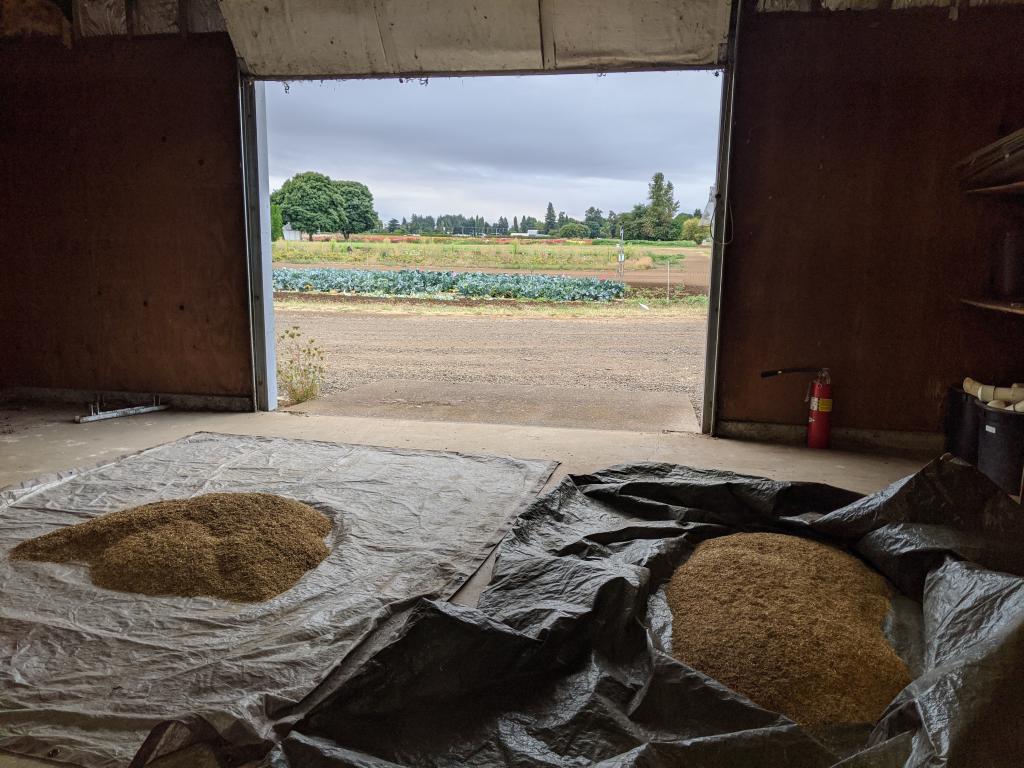 Meet the Northwest Plant Materials Program! - Institute for Applied Ecology