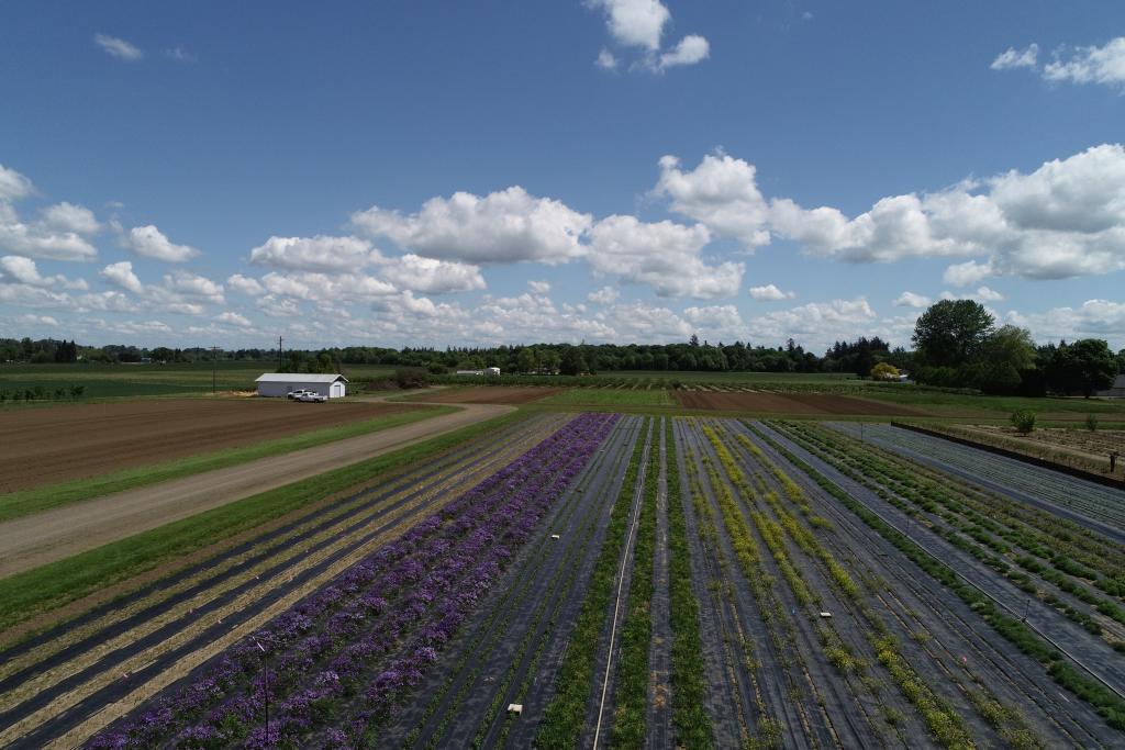 Meet the Northwest Plant Materials Program! - Institute for Applied Ecology