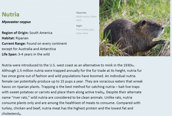 Invasive Species Cookbook - Institute for Applied Ecology