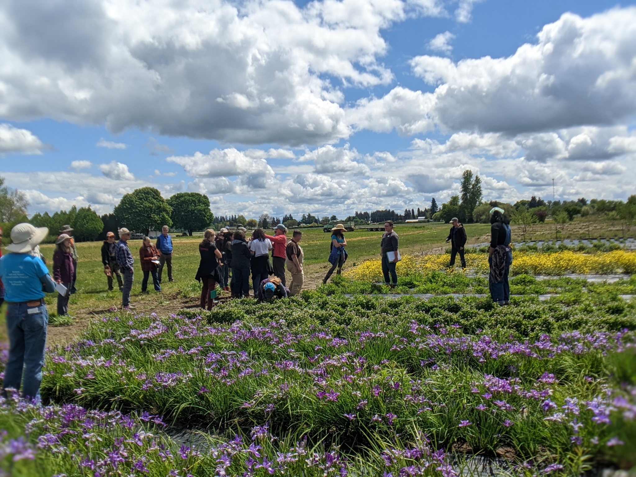 Plant Materials - Institute for Applied Ecology